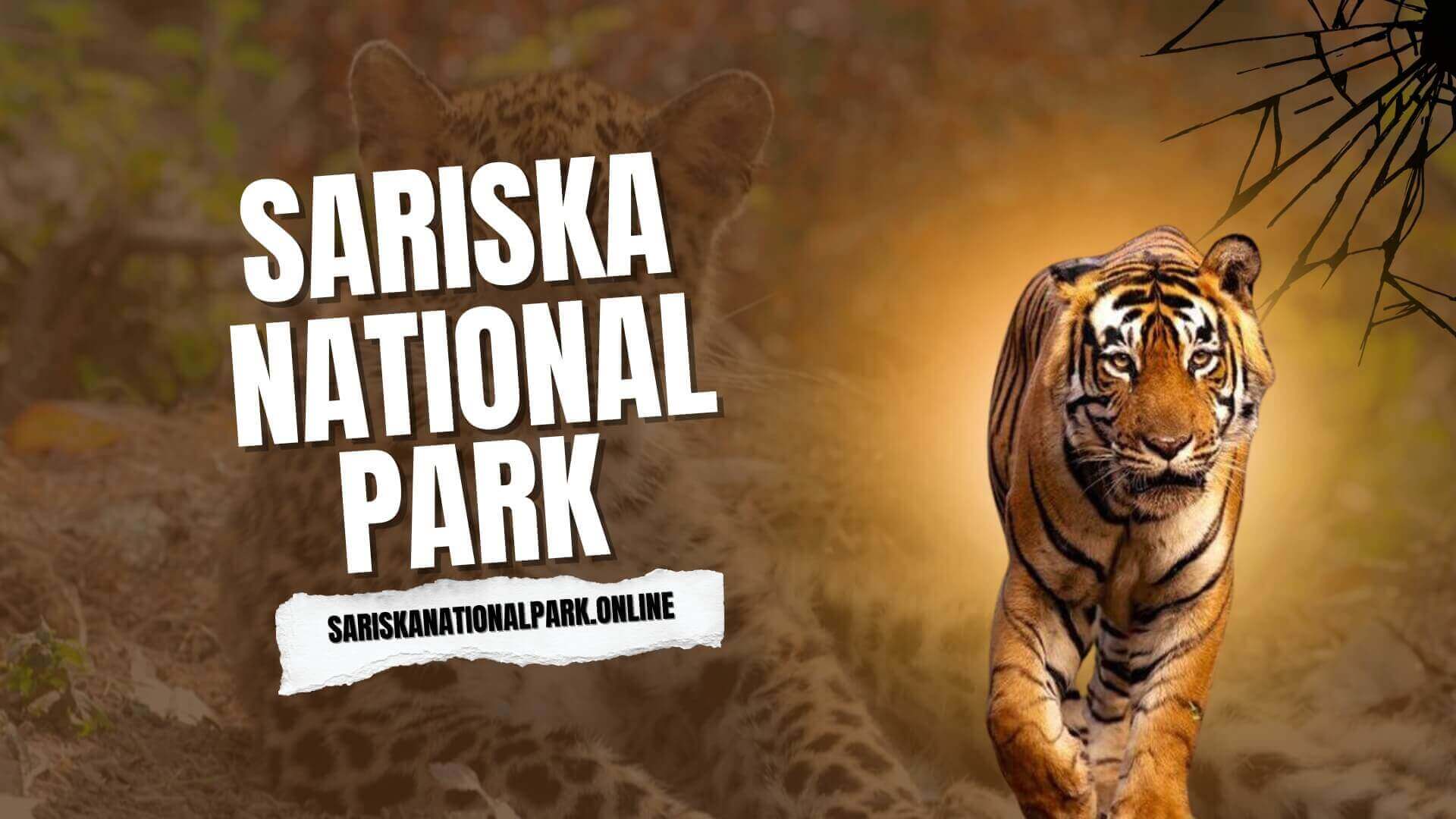 Sariska National Park & Tiger Reserve Rajasthan
